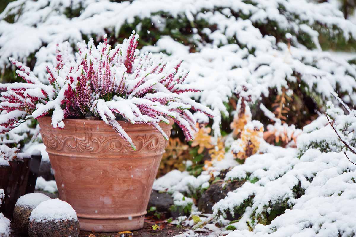 Garten im Winter: Was ist zu tun? | Tipps & Ideen