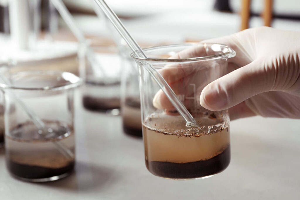 Bodenart bestimmen: Finden Sie Ihren Gartenboden heraus