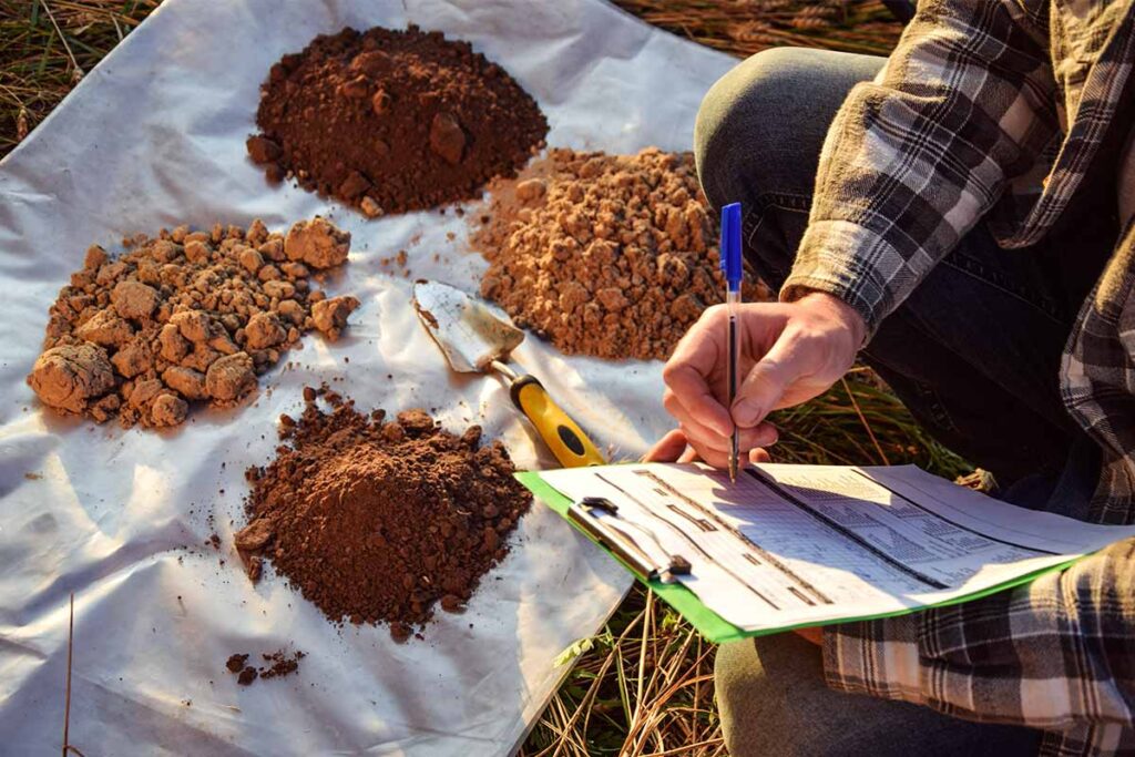 Bodenart bestimmen: Finden Sie Ihren Gartenboden heraus
